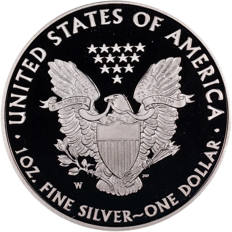 2008-W American Silver Eagle Proof 1 oz. OGP/COA | Premium Wholesale ...